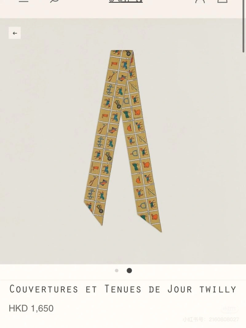 Hermes Silk
