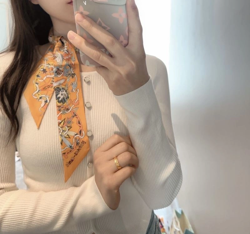 Hermes Silk