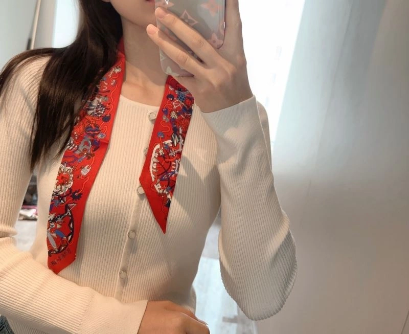 Hermes Silk