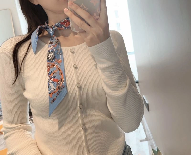 Hermes Silk