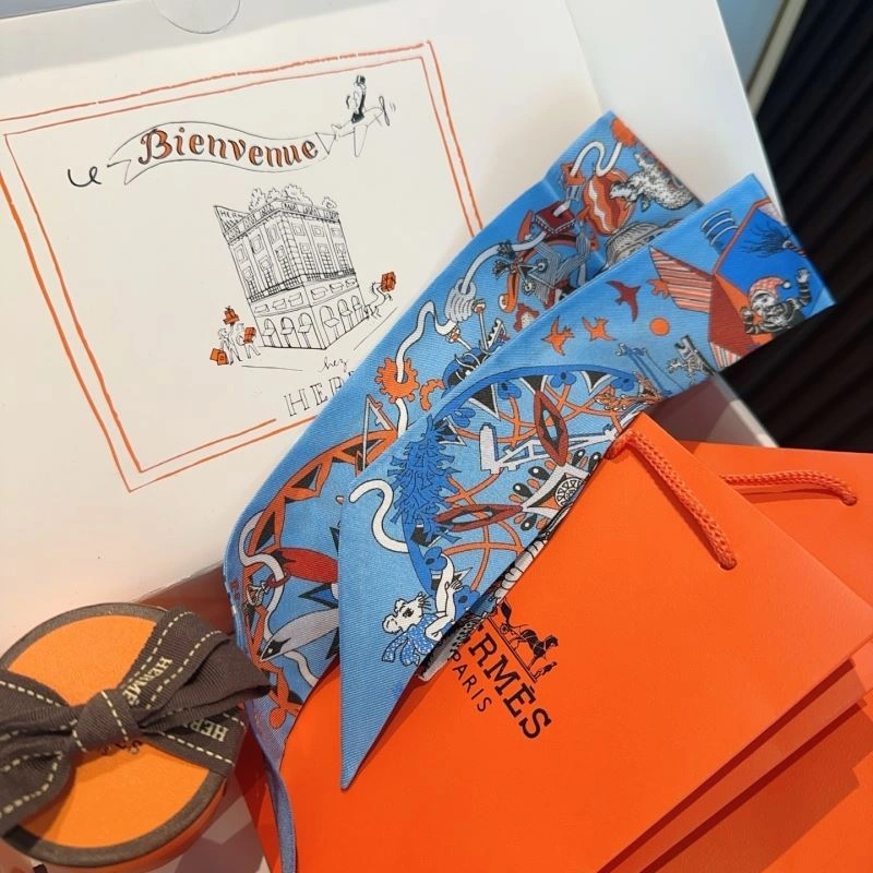 Budget-friendly Hermes Silk