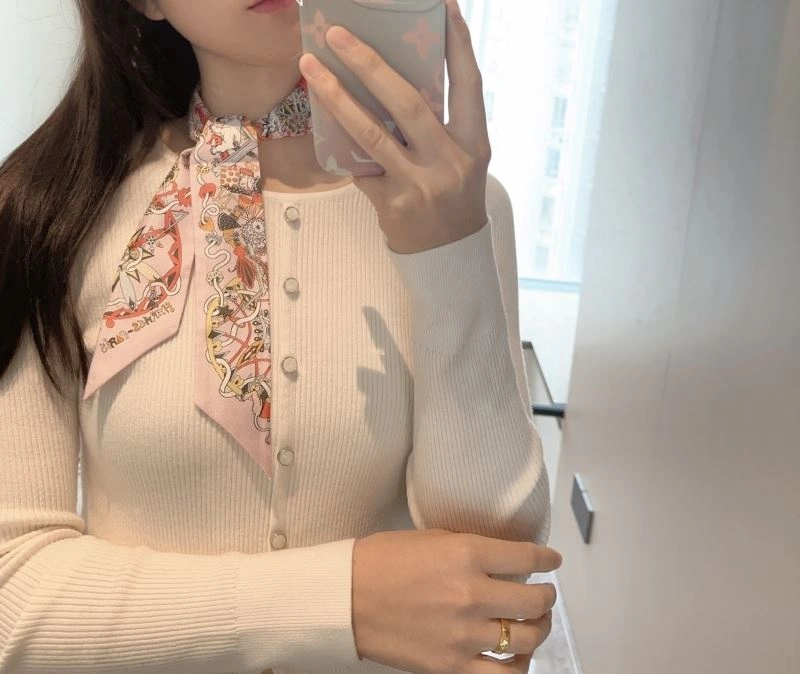 Hermes Silk