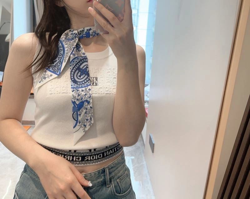 Hermes Silk