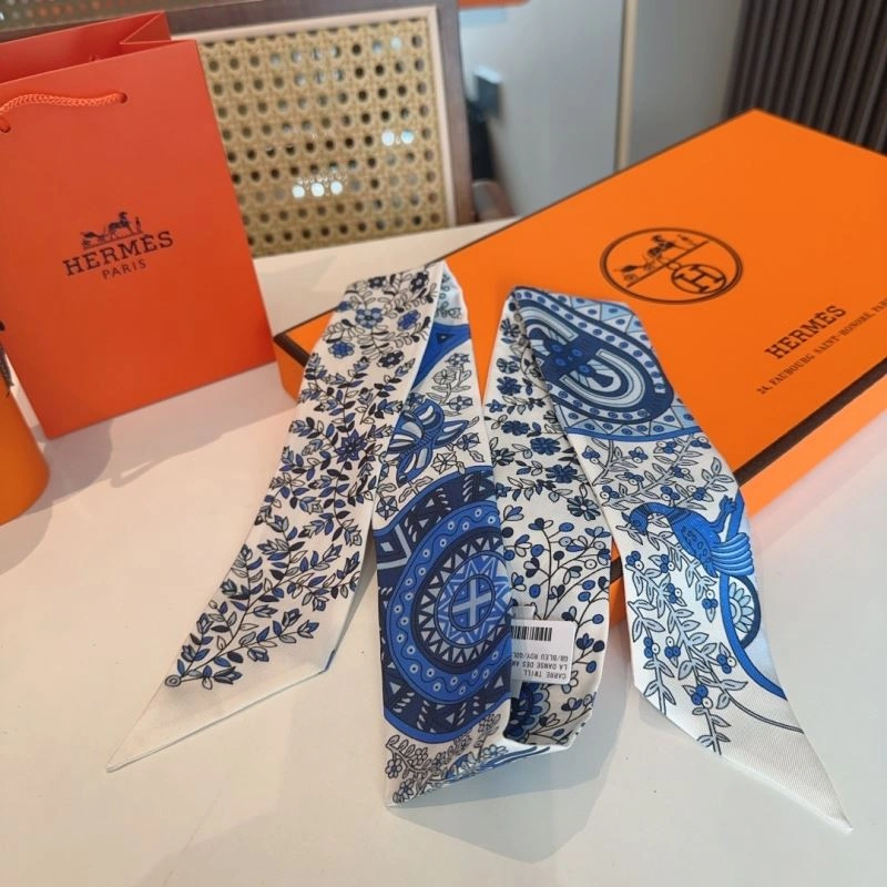 Inexpensive Hermes Silk