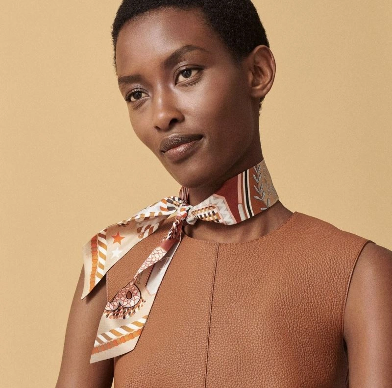 Official Hermes Silk