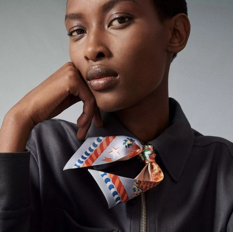 Top mirror Hermes Silk
