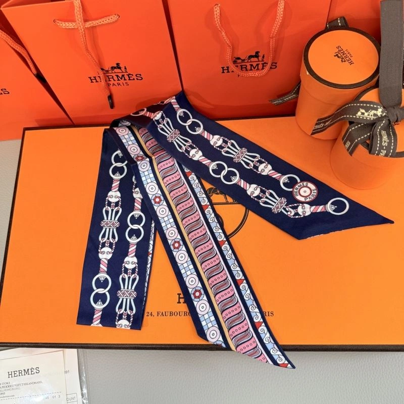 Reasonably priced Hermes Silk