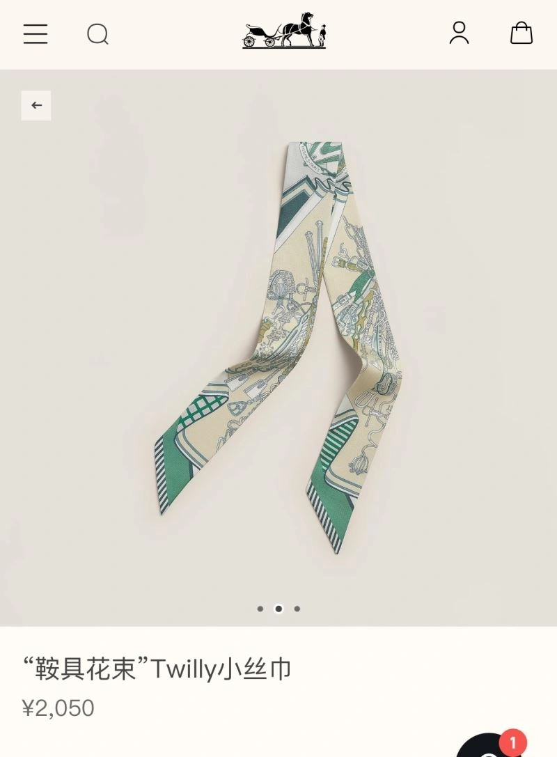 Hermes Silk