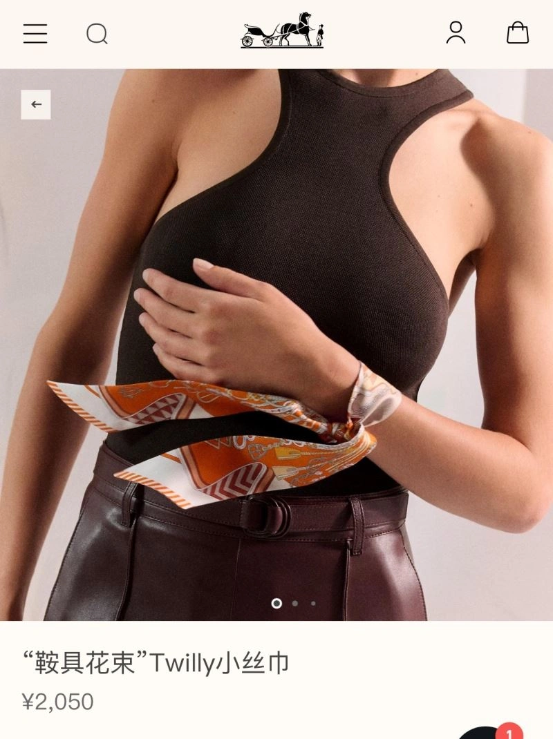 Inexpensive Hermes Silk