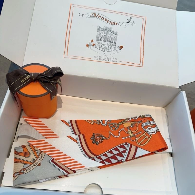 Inexpensive Hermes Silk