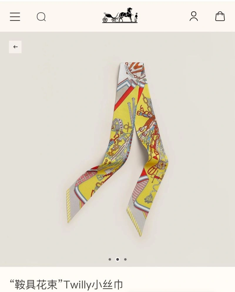 Hermes Silk
