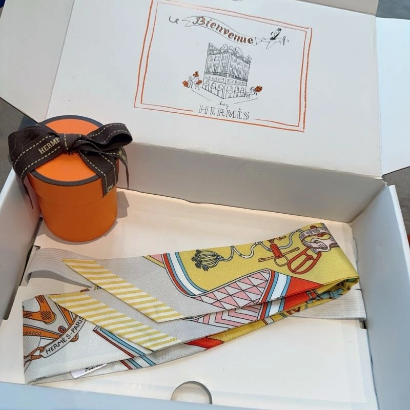 Inexpensive Hermes Silk