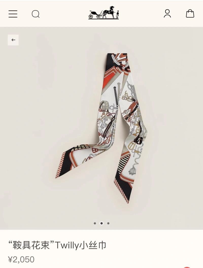 Hermes Silk