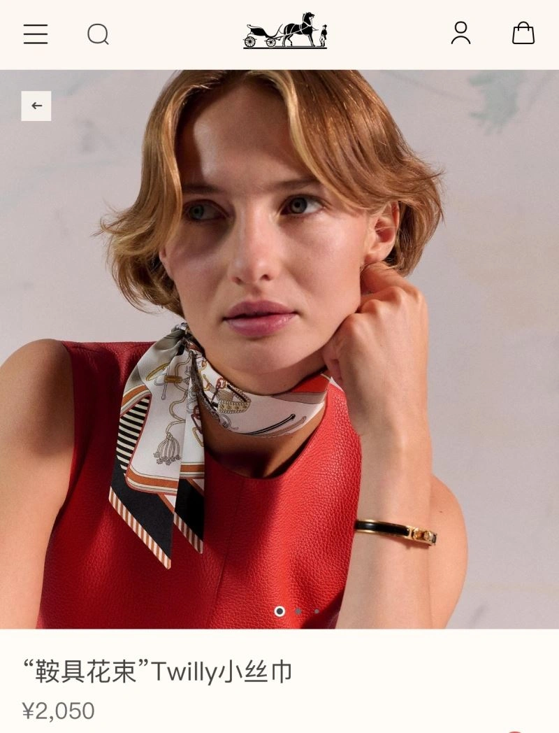 Discounted Hermes Silk