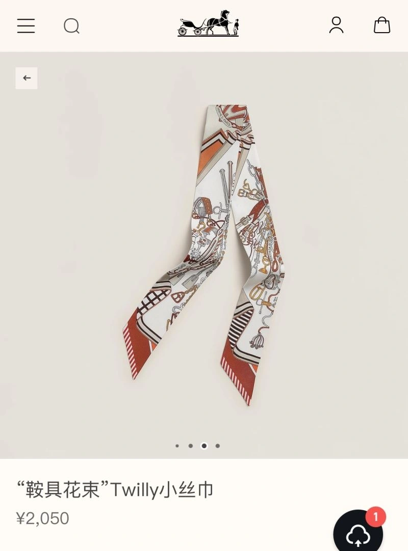Hermes Silk