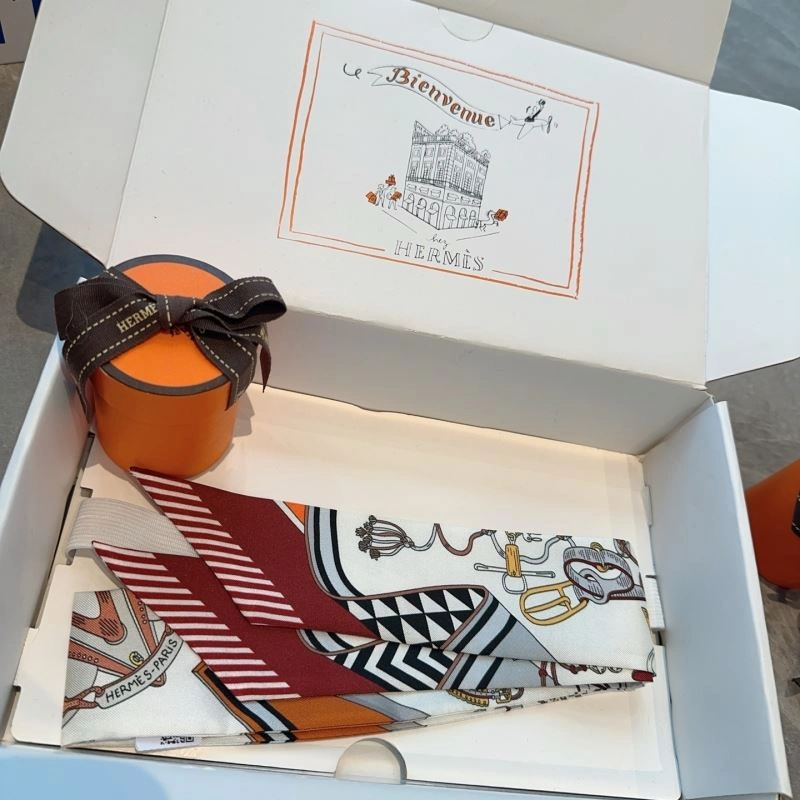 Reasonably priced Hermes Silk