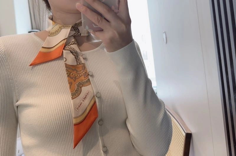 Hermes Silk