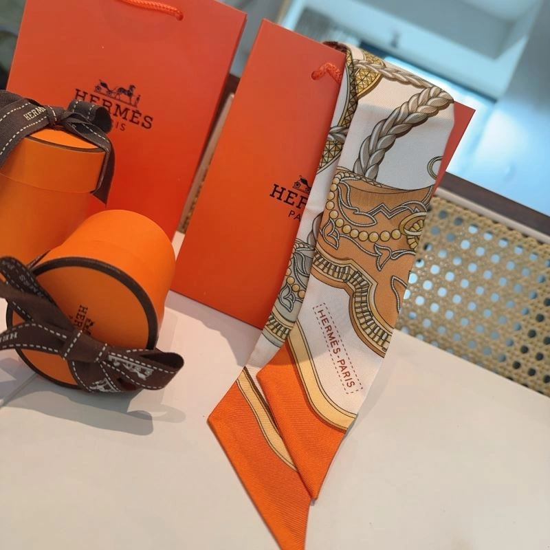 Indistinguishable Hermes Silk