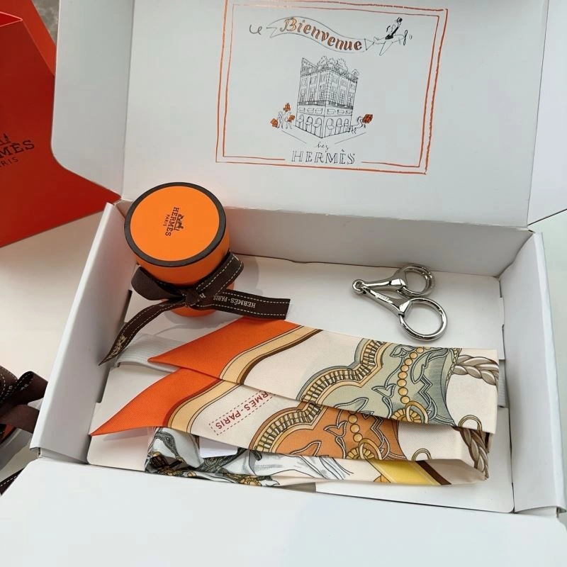 Indistinguishable Hermes Silk