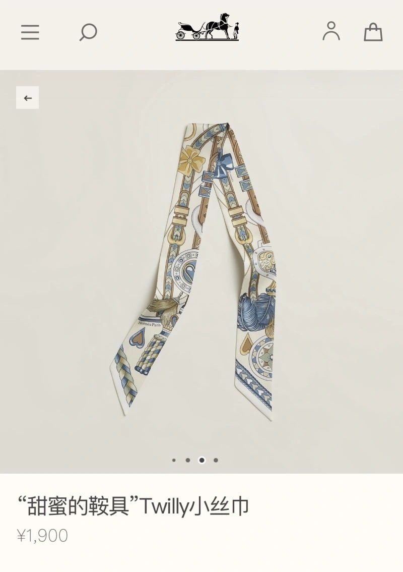 Hermes Silk