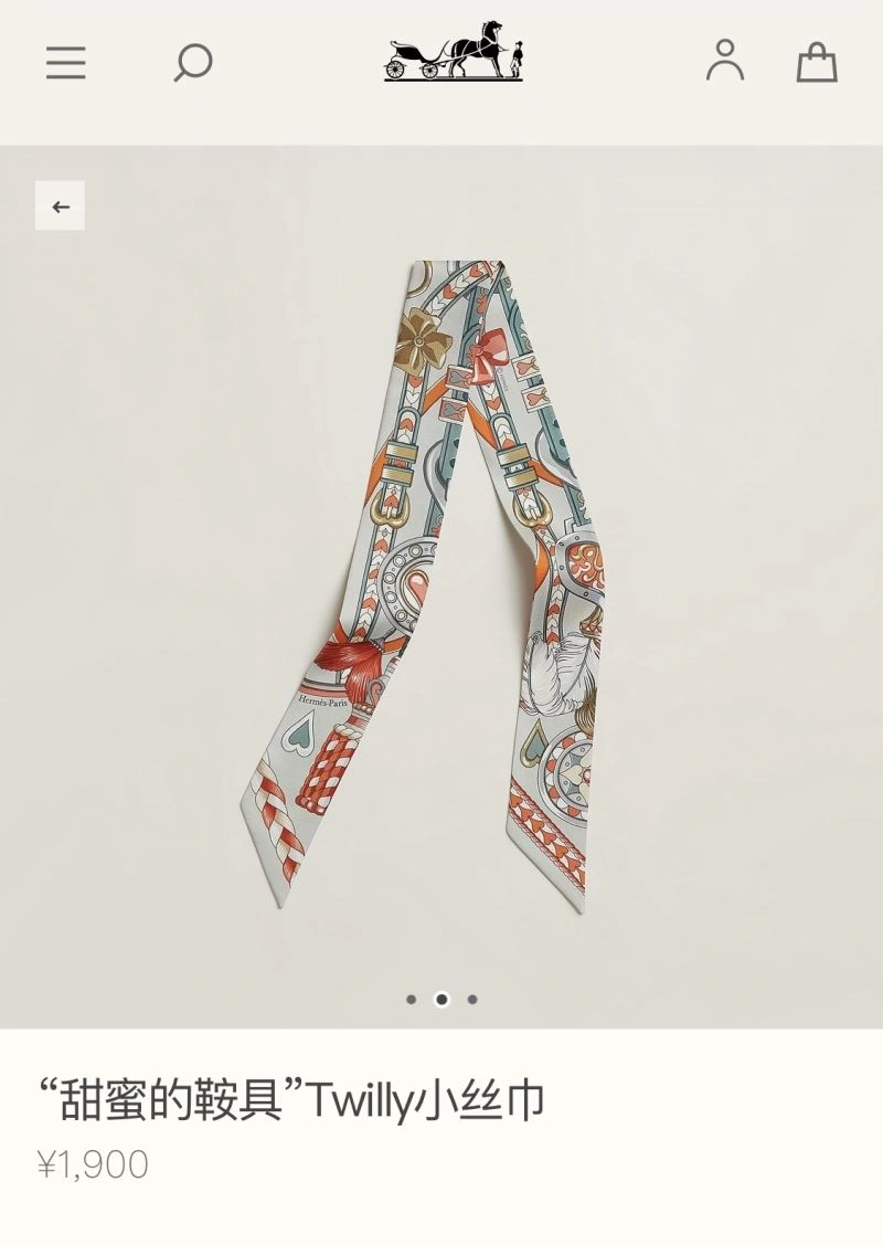 Hermes Silk