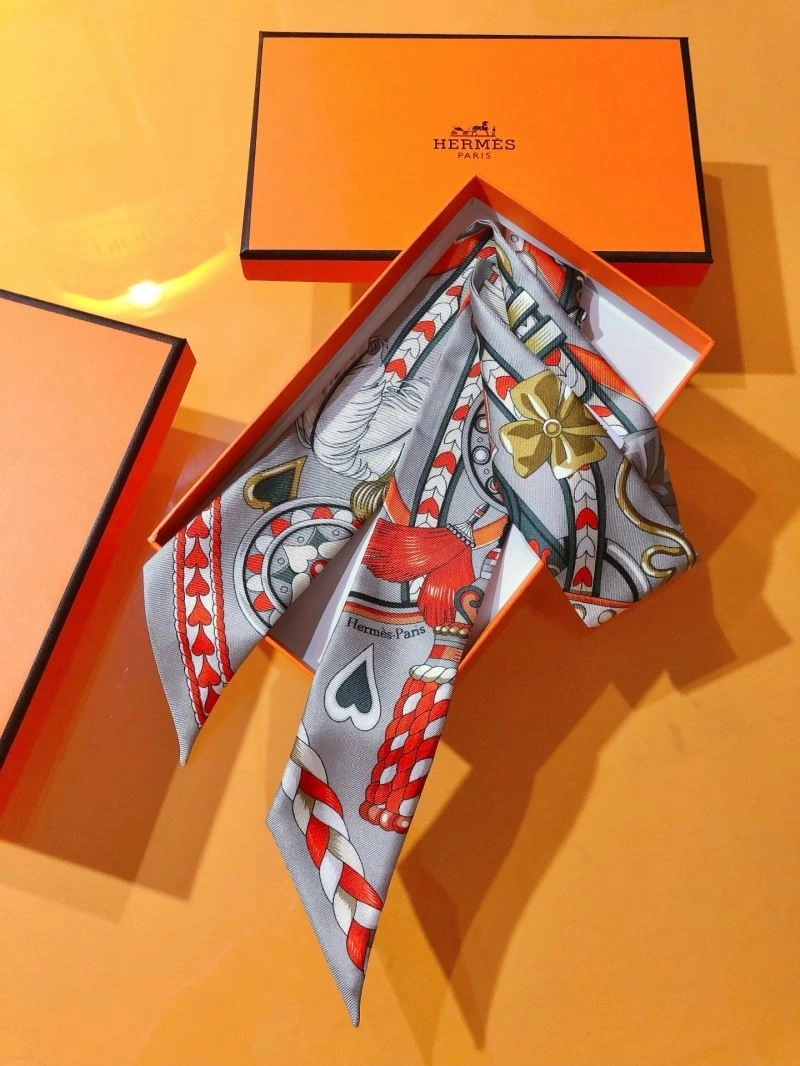 Economical Hermes Silk