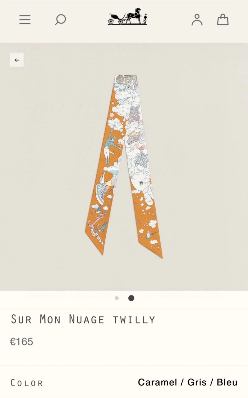 Hermes Silk