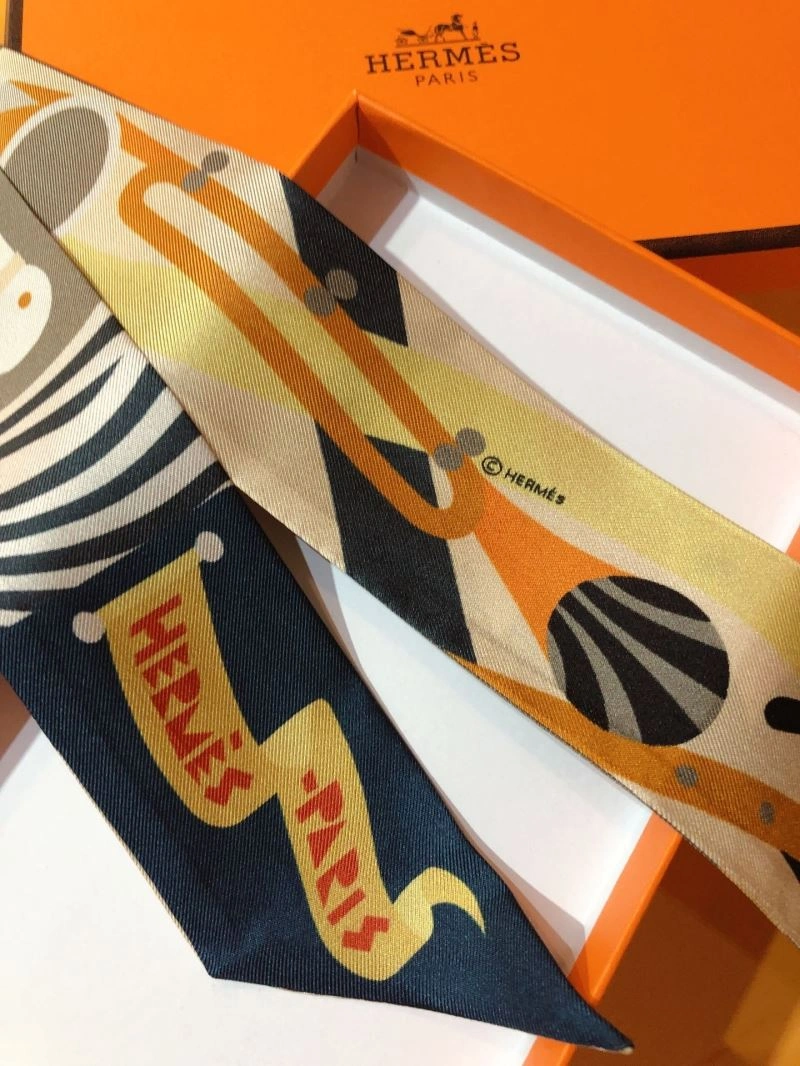 Indistinguishable Hermes Silk