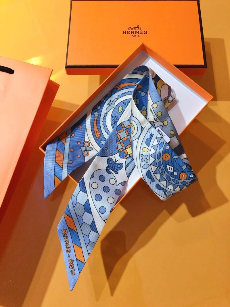 Budget-friendly Hermes Silk