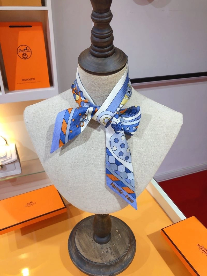 Budget-friendly Hermes Silk