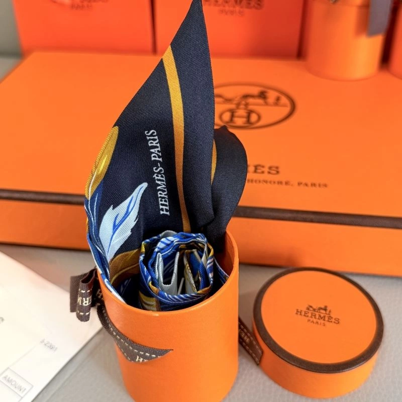 Value-priced Hermes Silk