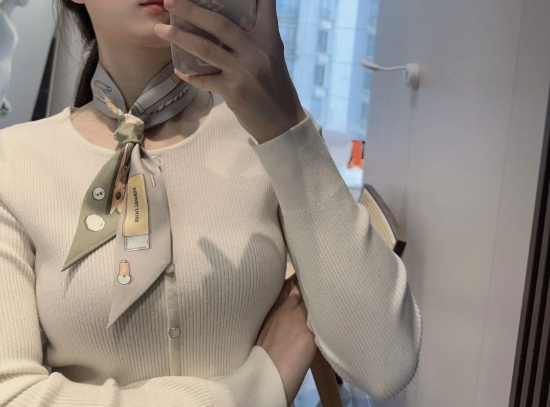Hermes Silk