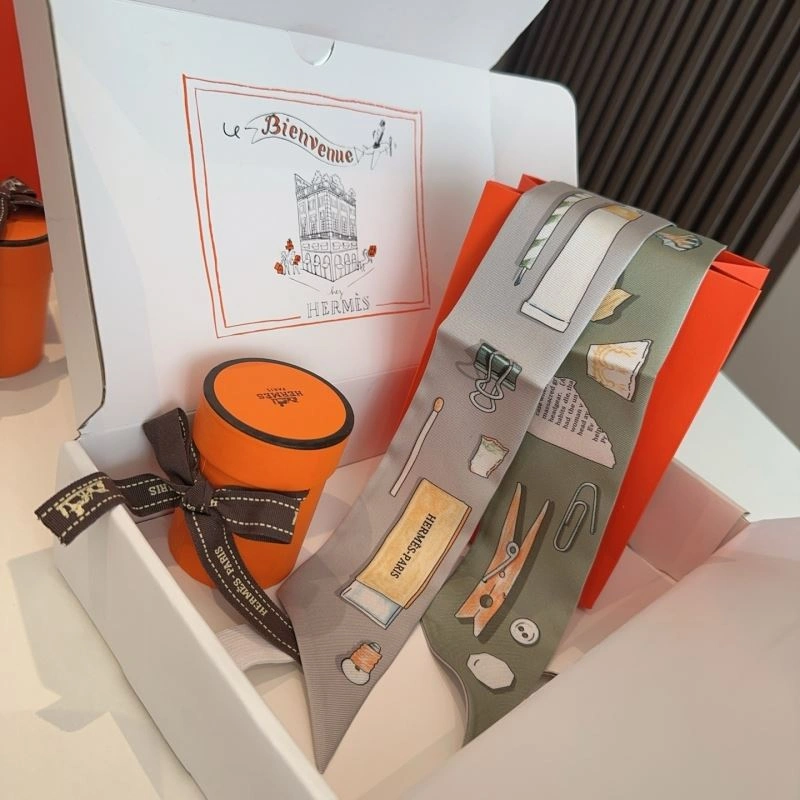 Budget-friendly Hermes Silk