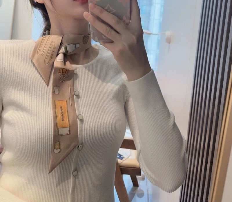 Top mirror Hermes Silk