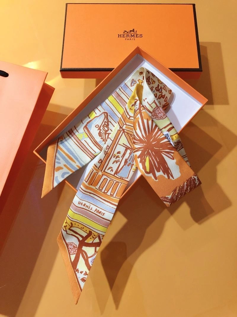 Reasonably priced Hermes Silk