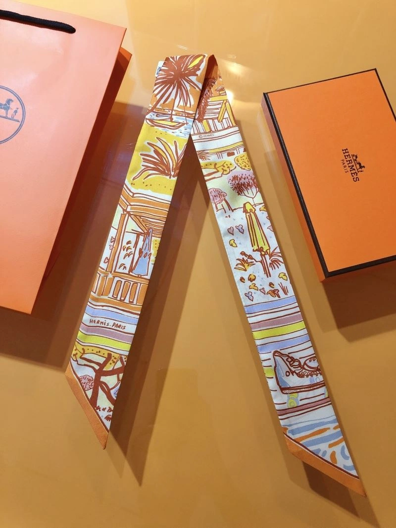 Reasonably priced Hermes Silk