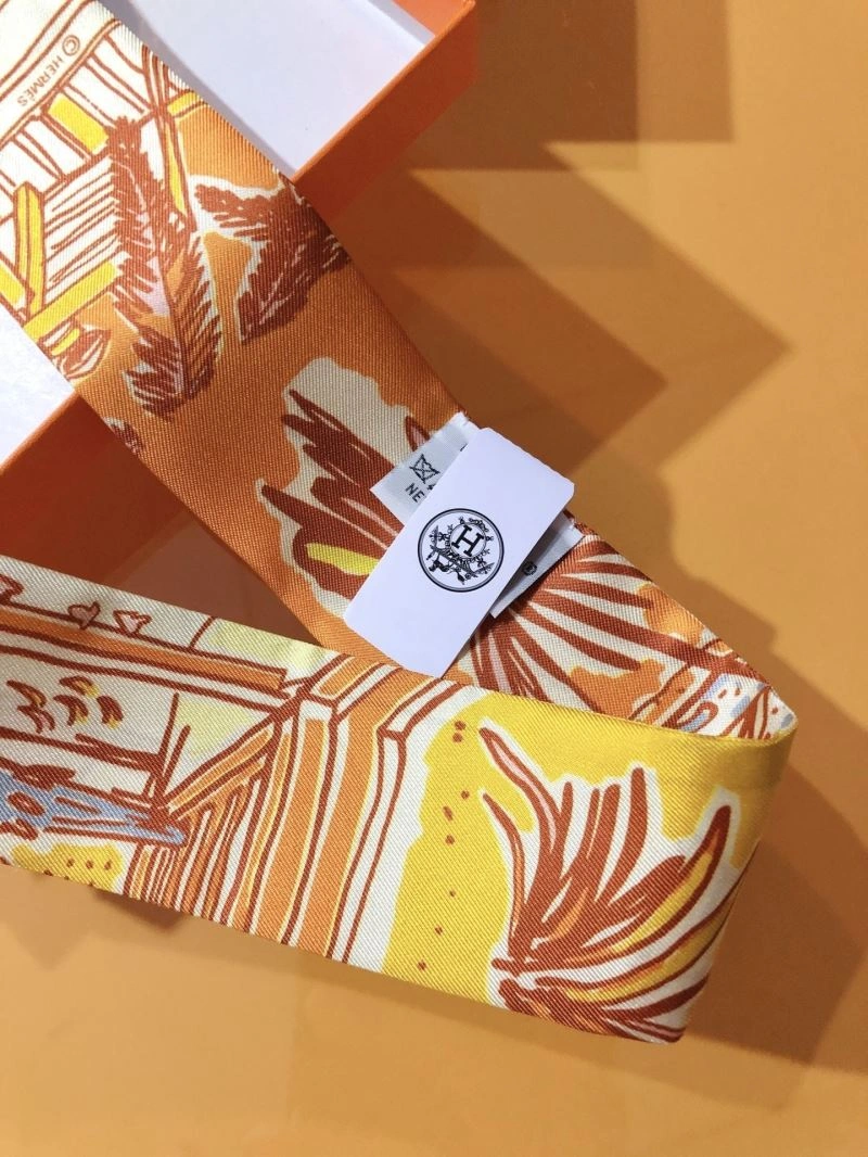 Reasonably priced Hermes Silk