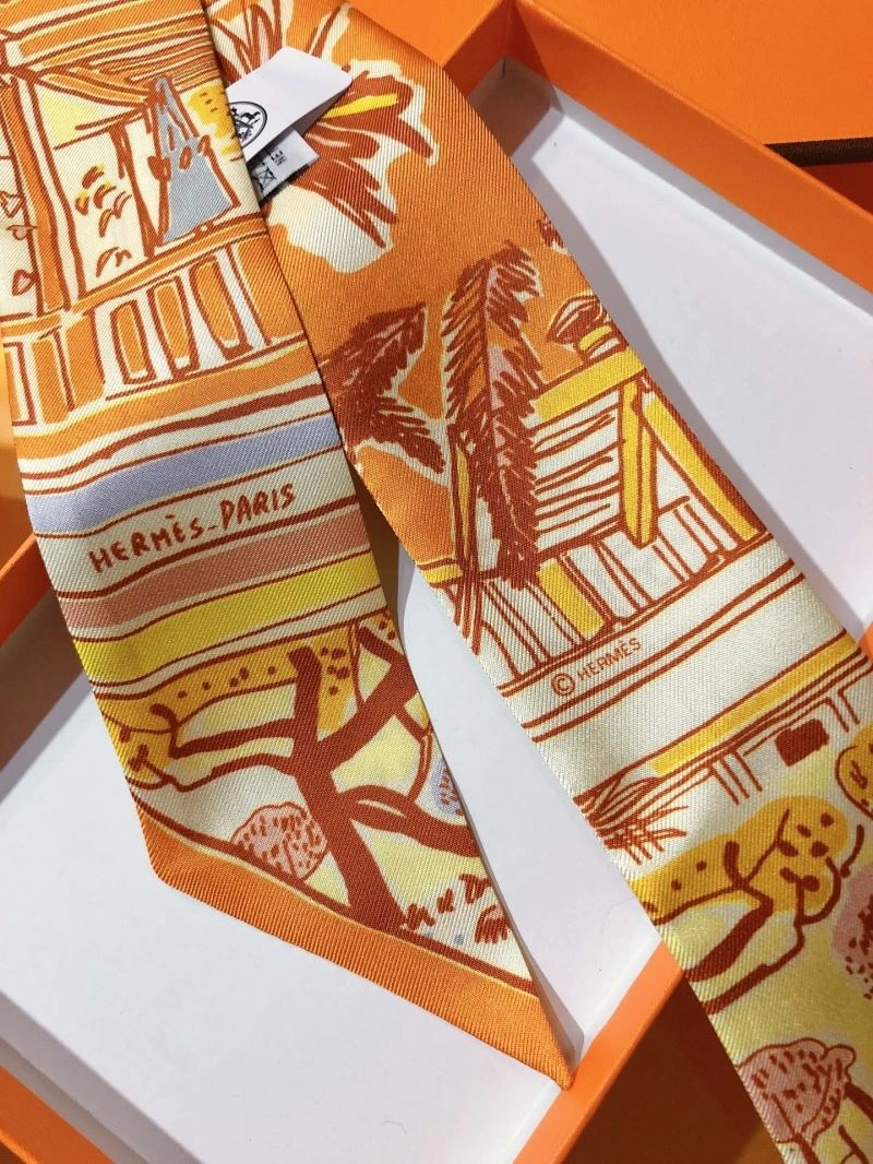 Reasonably priced Hermes Silk