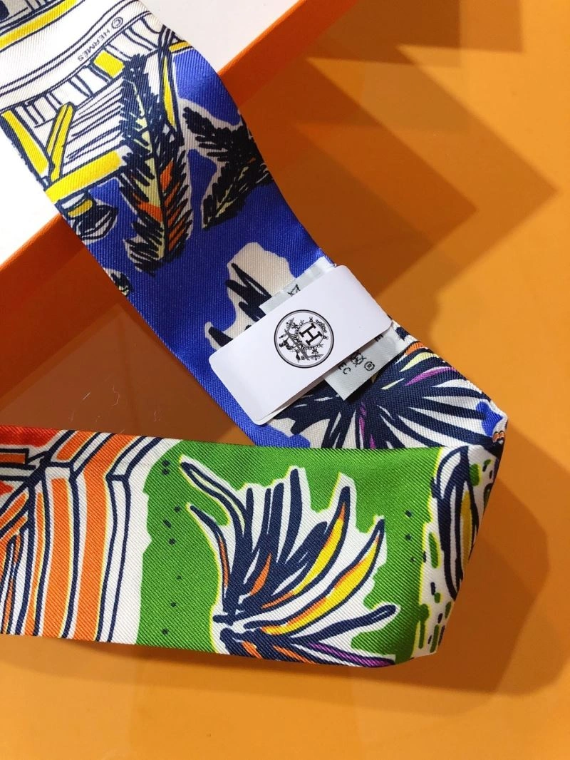 Cut-rate Hermes Silk