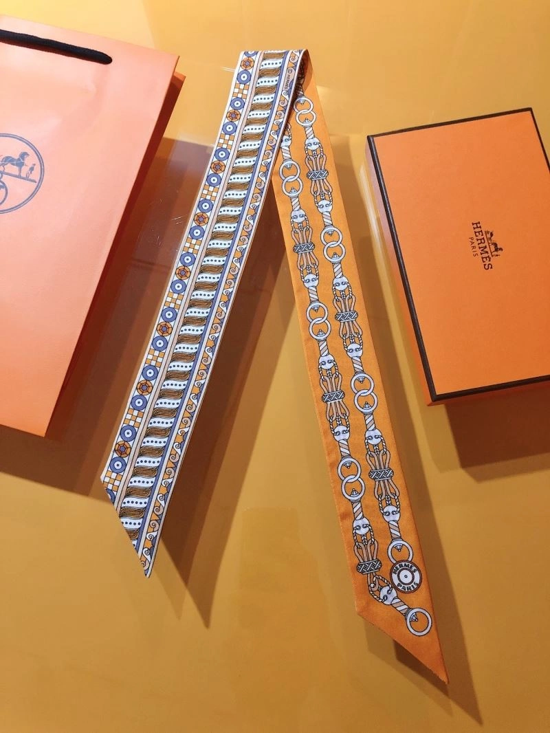 Reasonably priced Hermes Silk