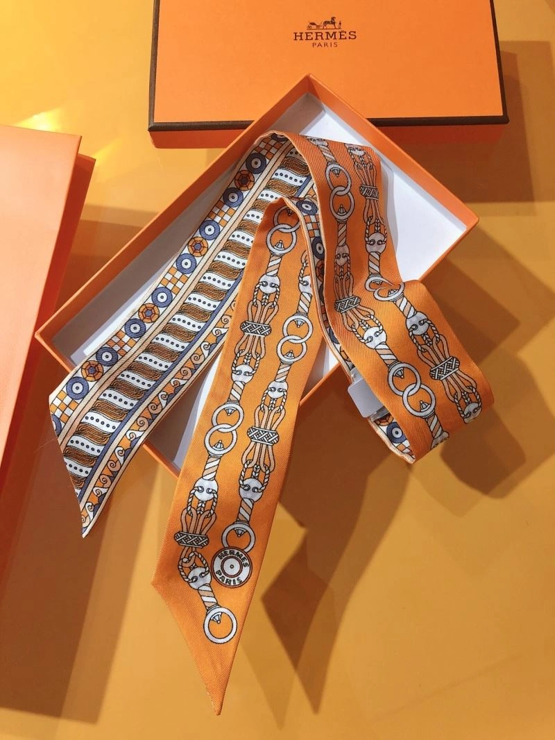 Reasonably priced Hermes Silk