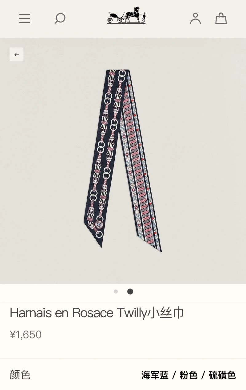 Hermes Silk