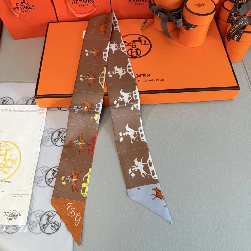 Economical Hermes Silk