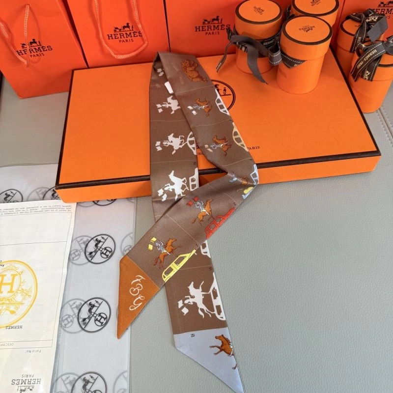 Economical Hermes Silk