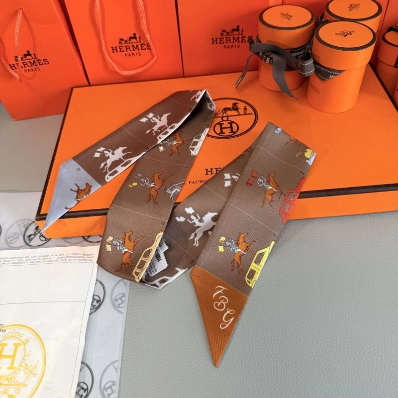 Economical Hermes Silk