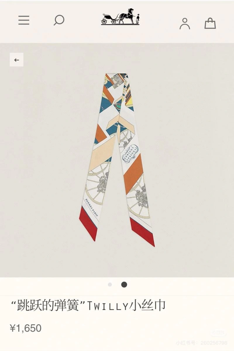 Hermes Silk