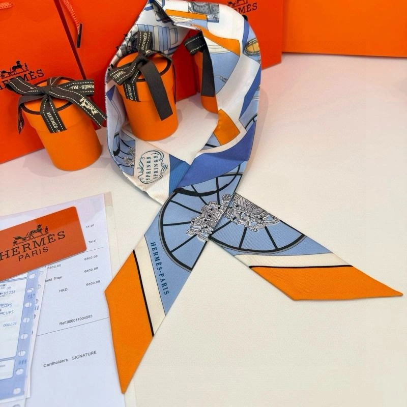 Budget-friendly Hermes Silk