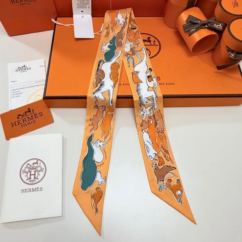 Indistinguishable Hermes Silk