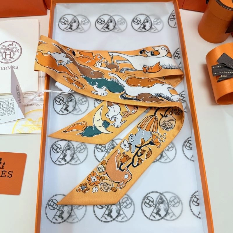 Indistinguishable Hermes Silk