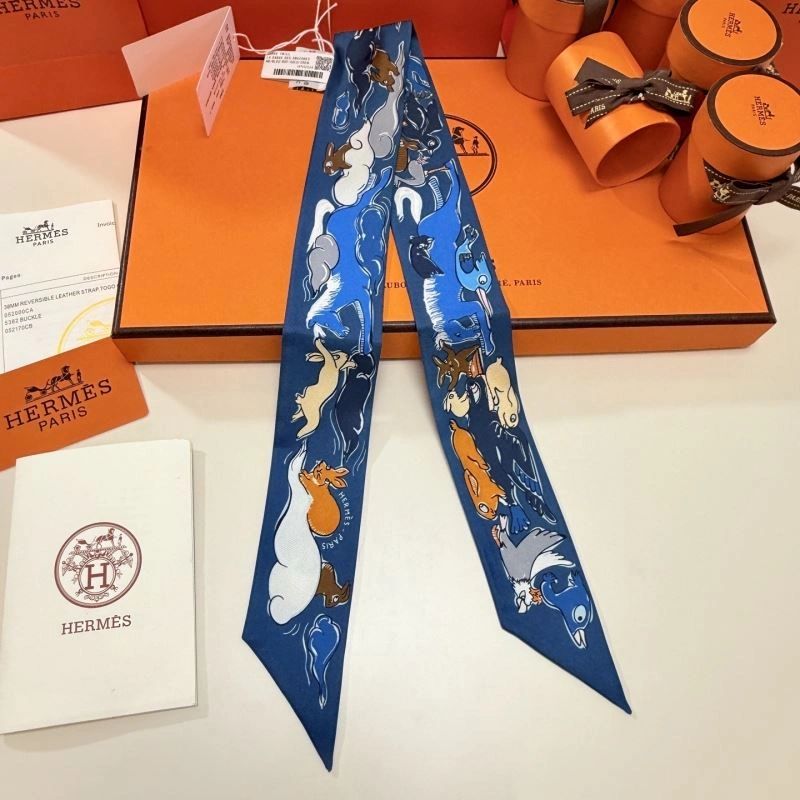 Discounted Hermes Silk